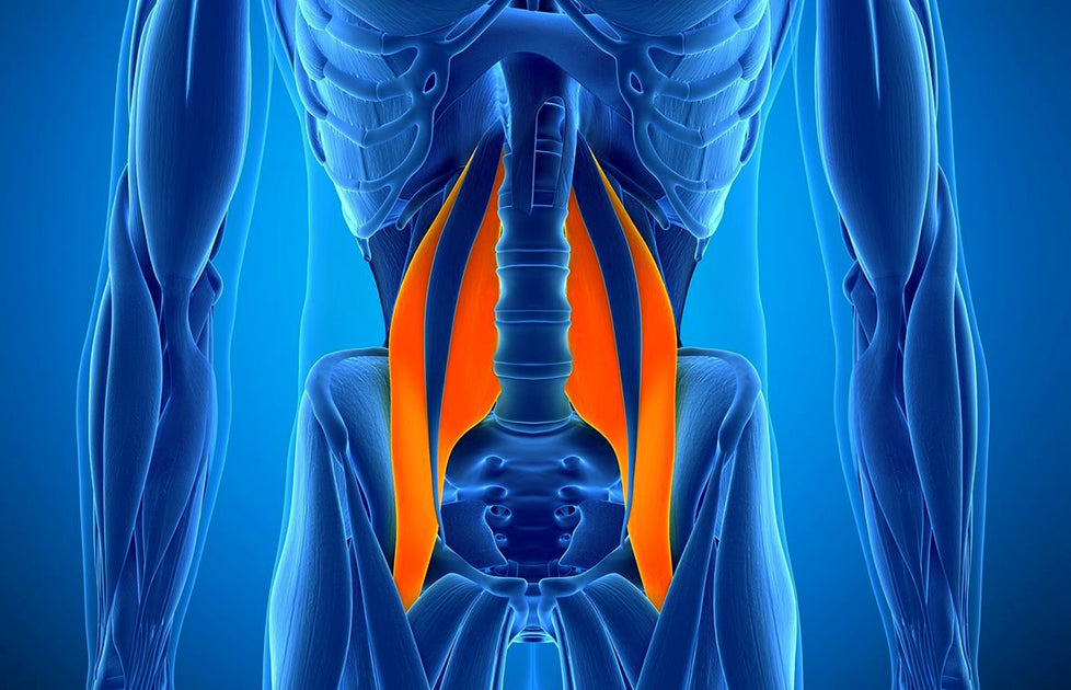 What Muscles Should You Massage To Help Your Back Pain? – Pso-Rite™